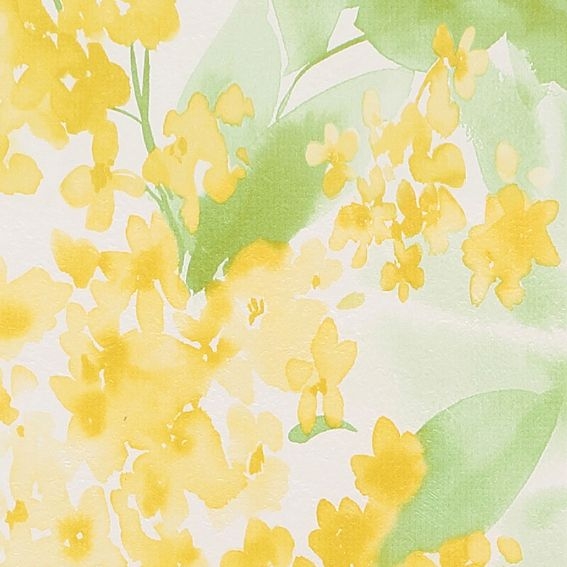 BA6240 | TECTURE（テクチャー）