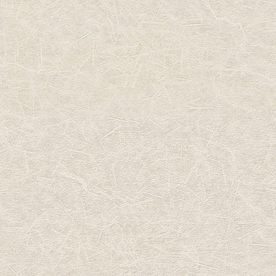 BA6336 | TECTURE（テクチャー）