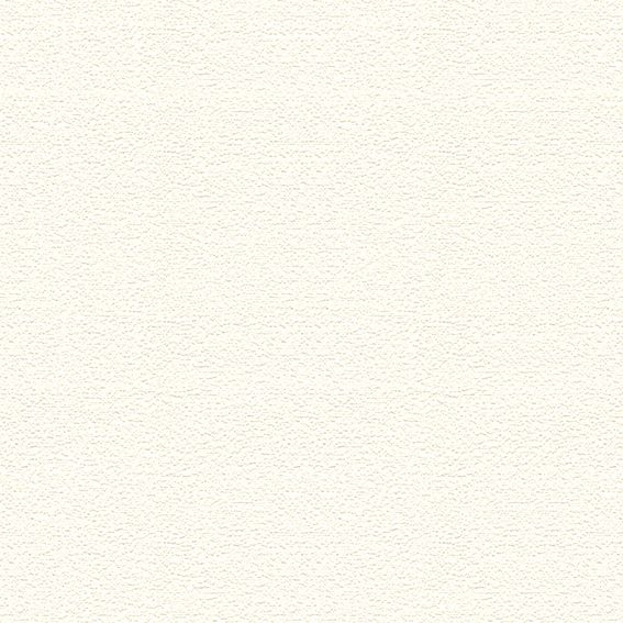 BB8161 | TECTURE（テクチャー）