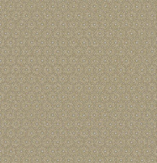 BB8520 | TECTURE（テクチャー）