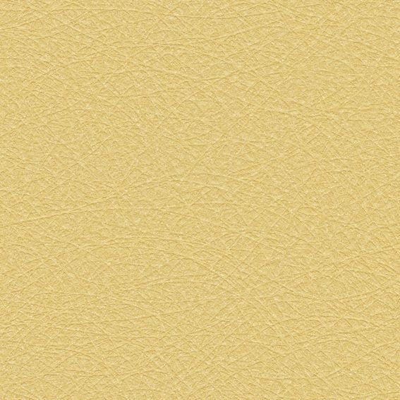 BB8564～BB8570 | TECTURE（テクチャー）