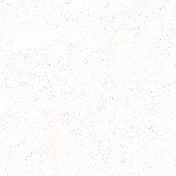 SLP240 | TECTURE（テクチャー）