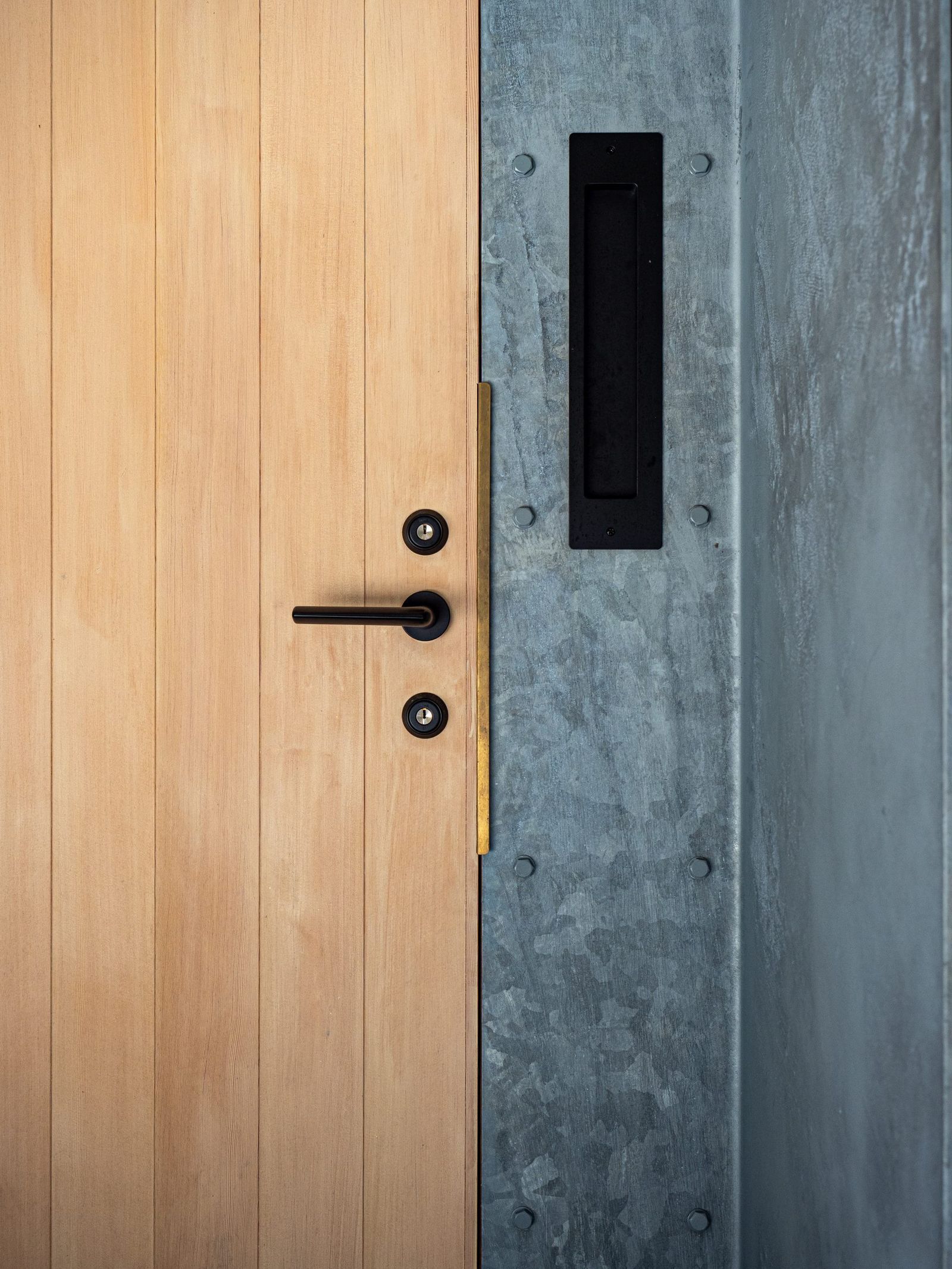 森に降りる家の写真 | TECTURE（テクチャー）