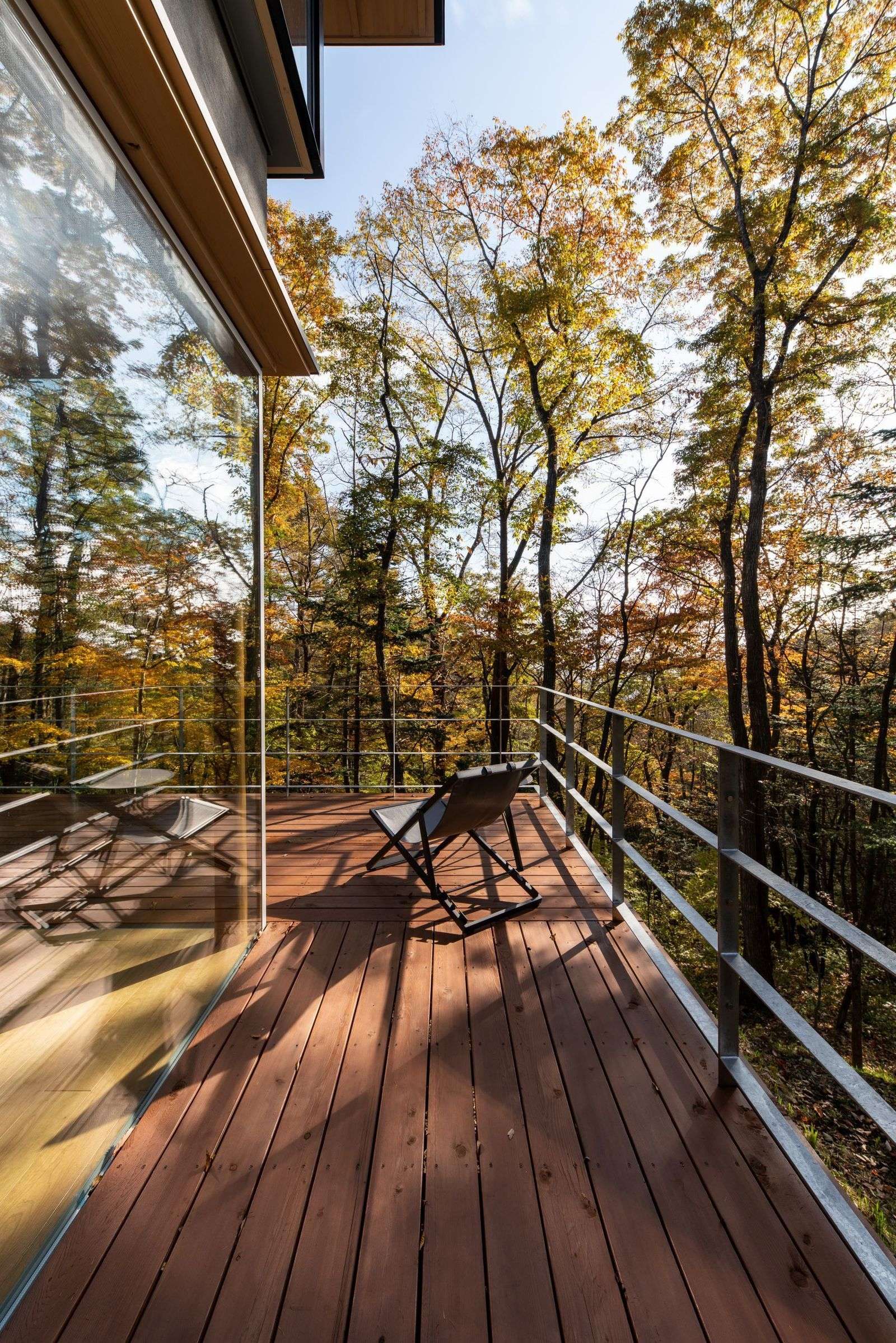 森に降りる家の写真 | TECTURE（テクチャー）