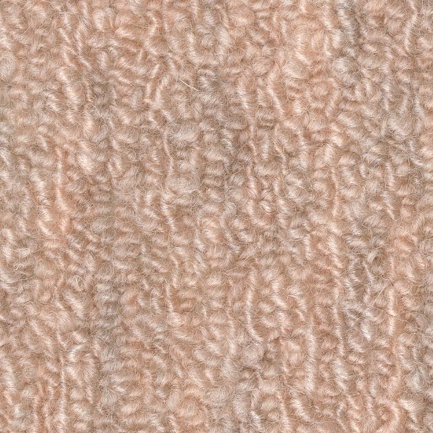 ロールカーペット_Dランク/サンフランネル | TECTURE（テクチャー）