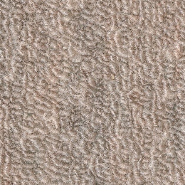 ロールカーペット_Dランク/サンフランネル | TECTURE（テクチャー）