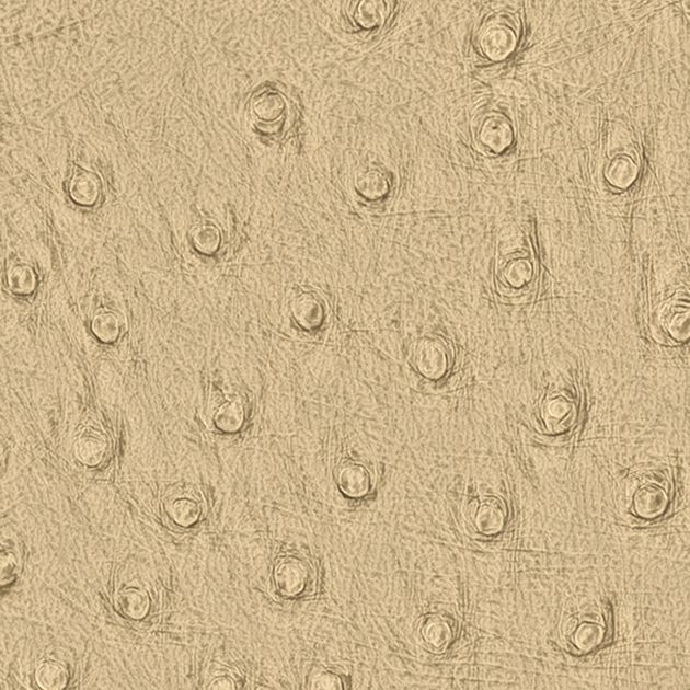 椅子生地_L-Texture/オーストリッチ | TECTURE（テクチャー）