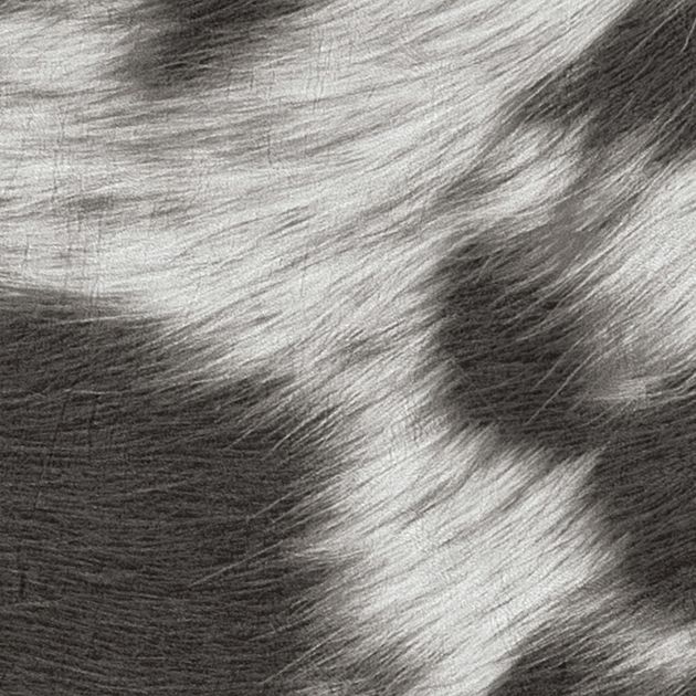 椅子生地_L-Pattern/テルネーロ | TECTURE（テクチャー）