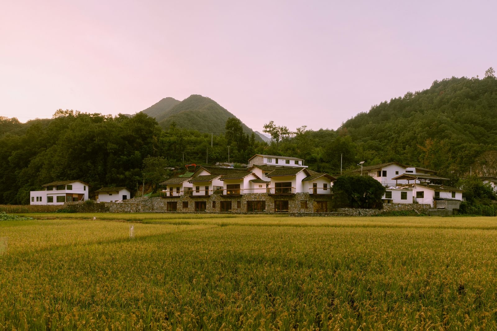 鹿柴山集 LuZhai Cottage | TECTURE（テクチャー）