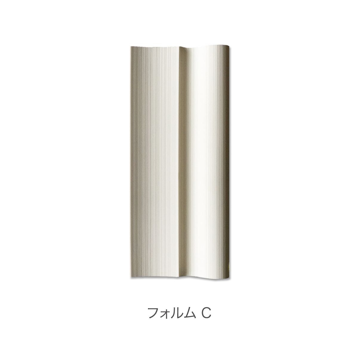 F-relief model / エフレリーフモデル/フォルムC | TECTURE（テクチャー）