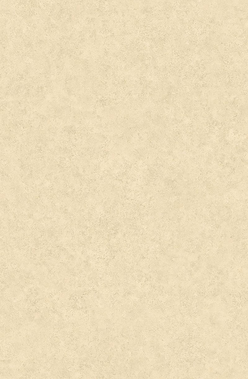 タイヤクフロア・ラボプラス | TECTURE（テクチャー）