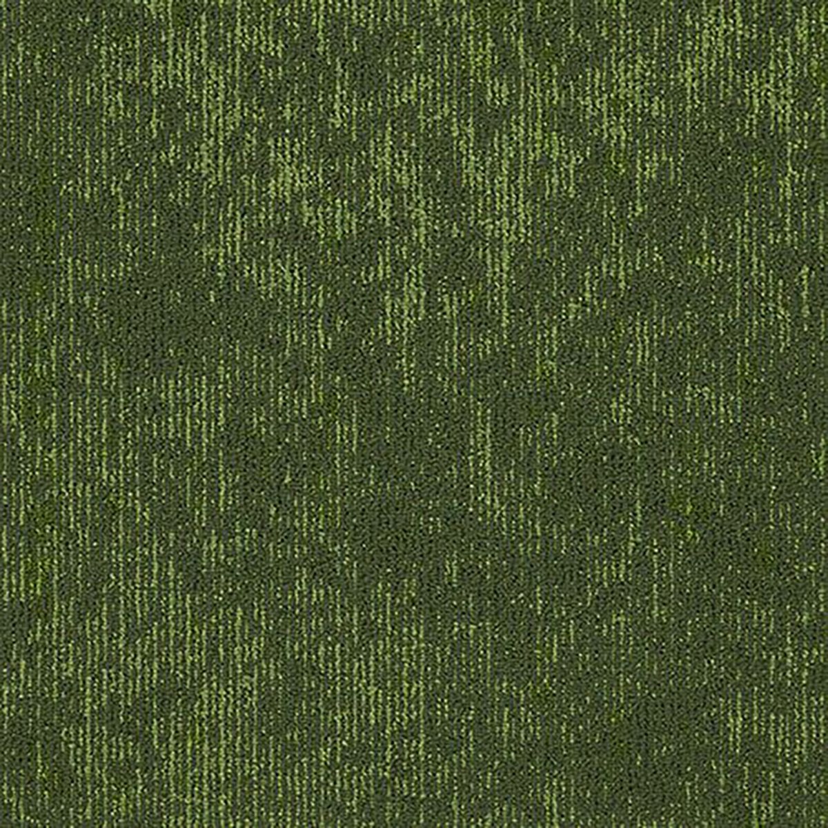 TS-7000/typeJ | TECTURE（テクチャー）