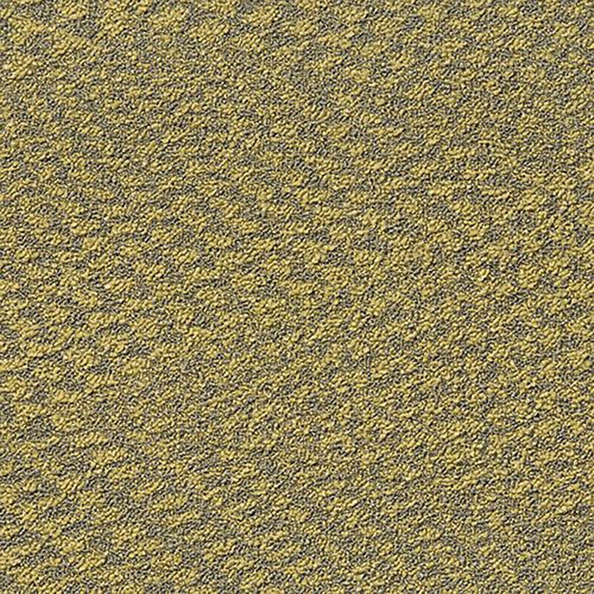 タピストリオス | TECTURE（テクチャー）