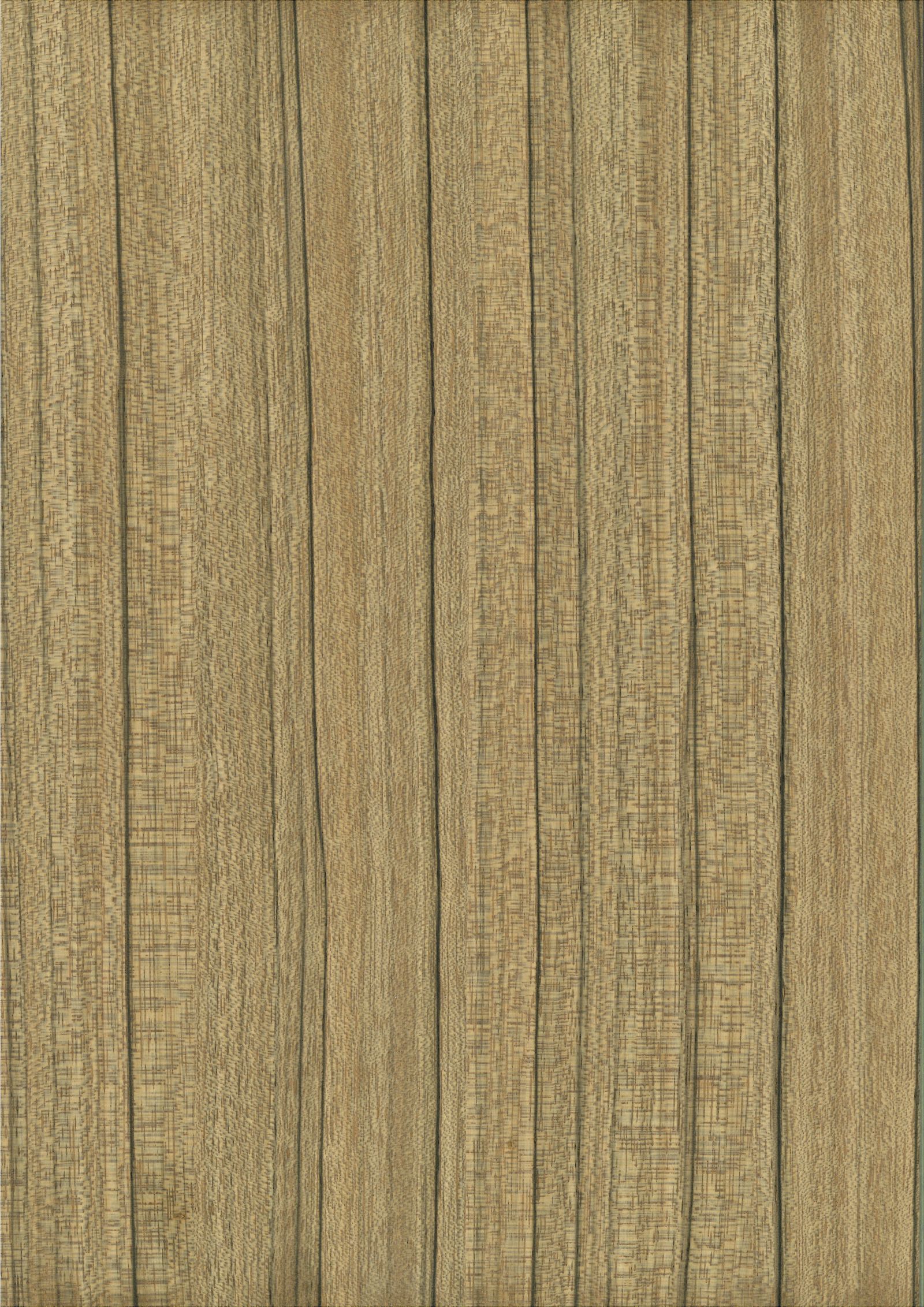 迎賓館 | TECTURE（テクチャー）