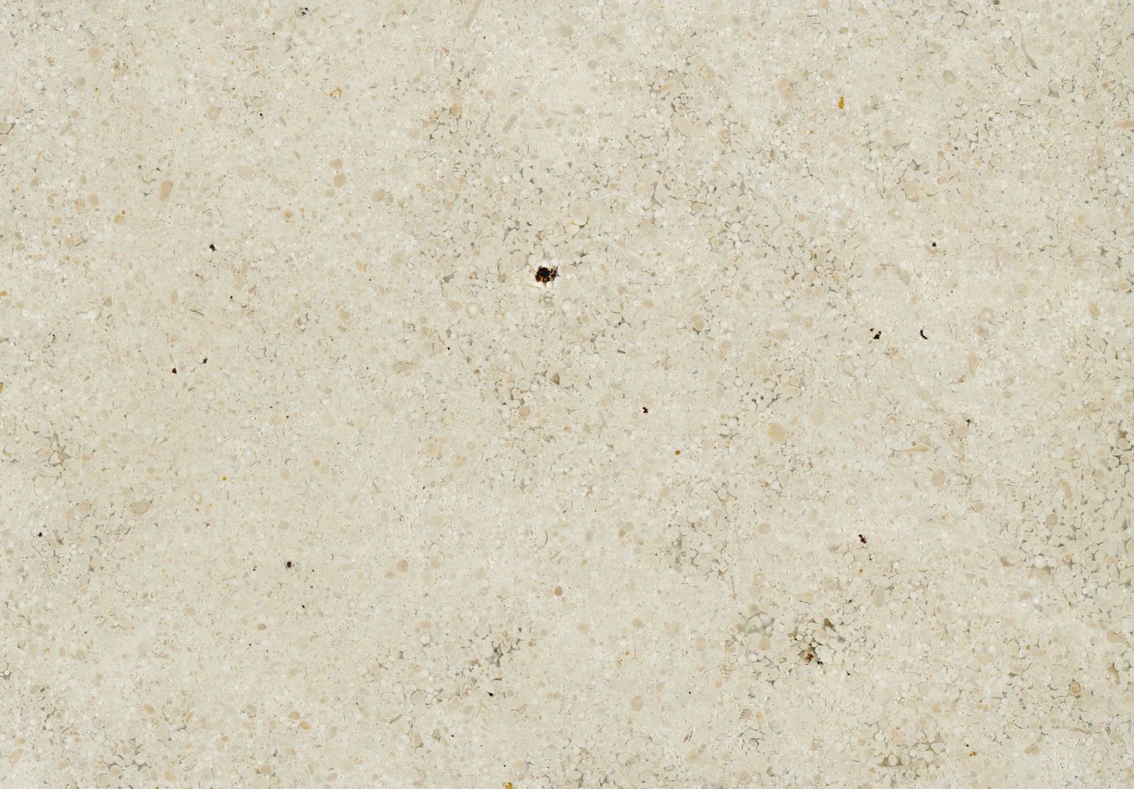 ヴィロヌール/石灰石 | TECTURE（テクチャー）