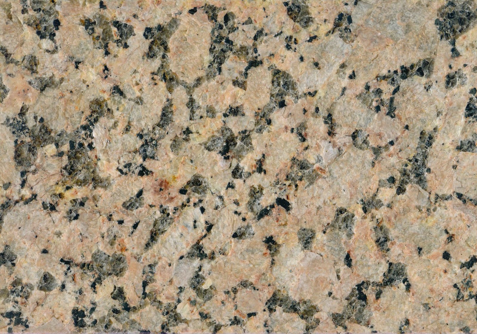 ゴールデンフィオリート/御影石（花崗岩） - J&P | TECTURE（テクチャー）