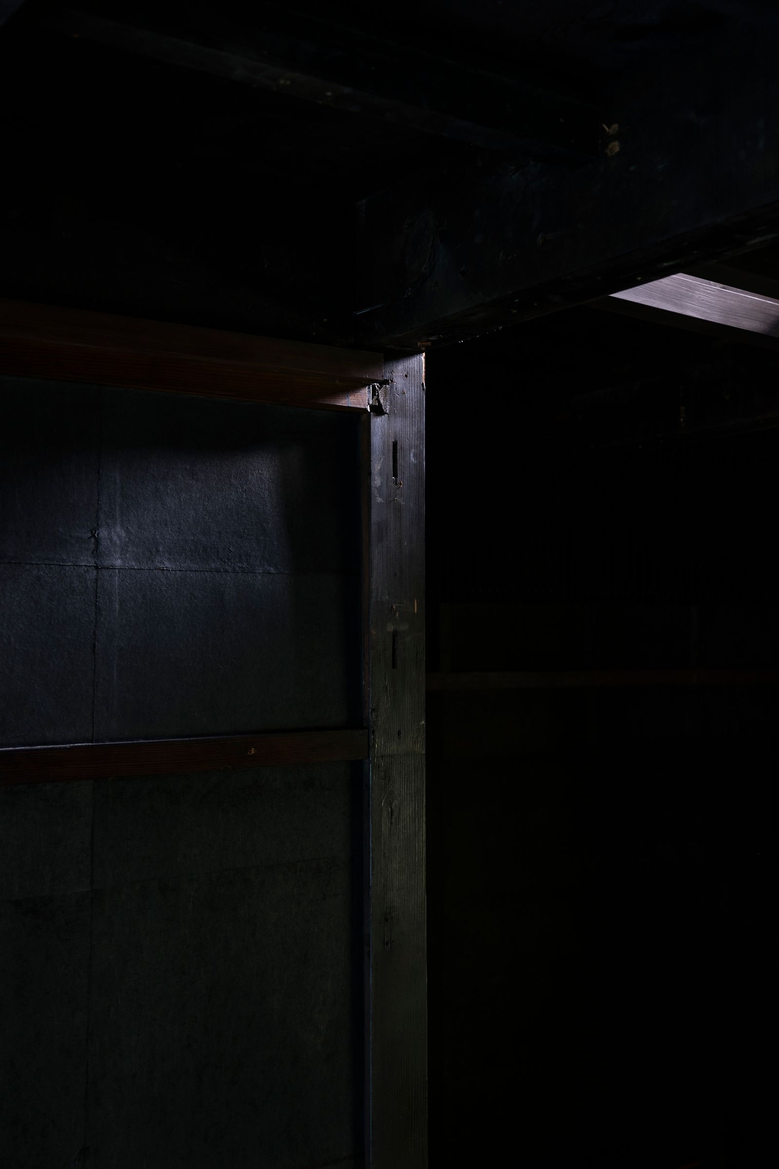 落散 京都 の写真 | TECTURE（テクチャー）