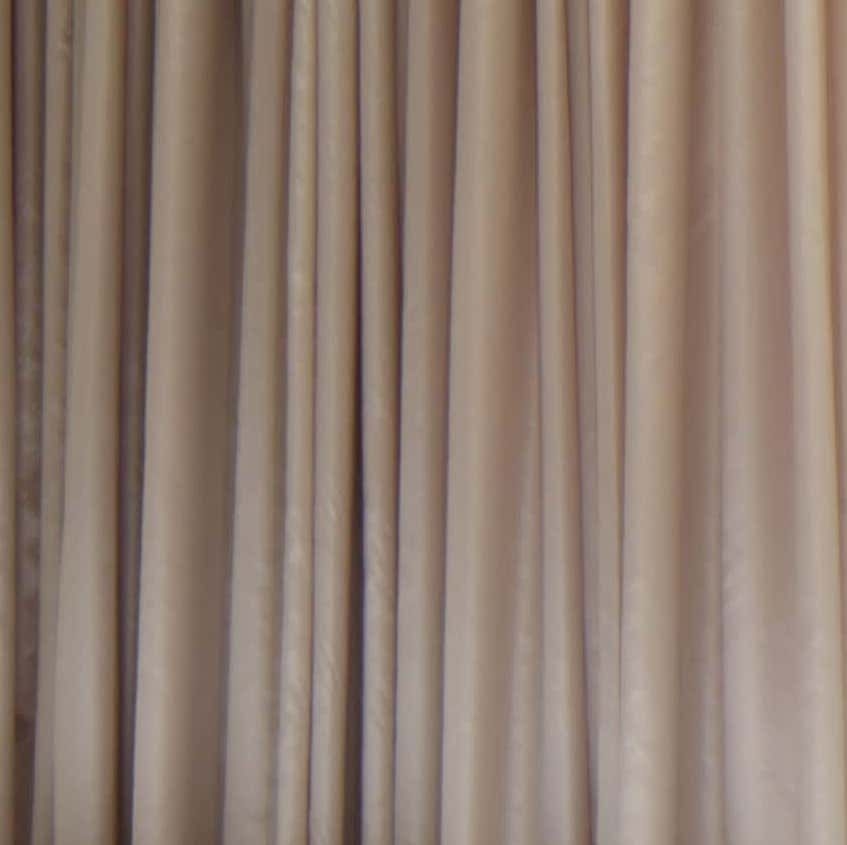 カリン | TECTURE（テクチャー）