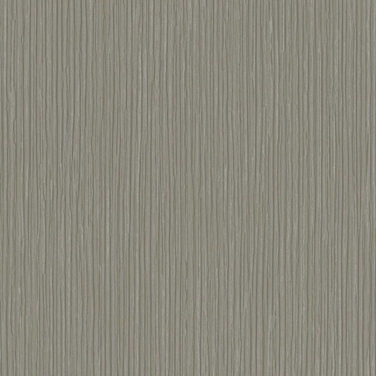 haptic/saleats サリーツ | TECTURE（テクチャー）