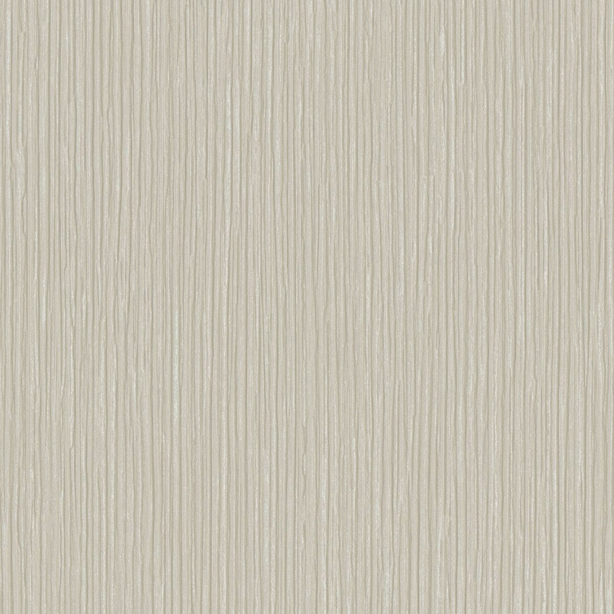 haptic/saleats サリーツ | TECTURE（テクチャー）