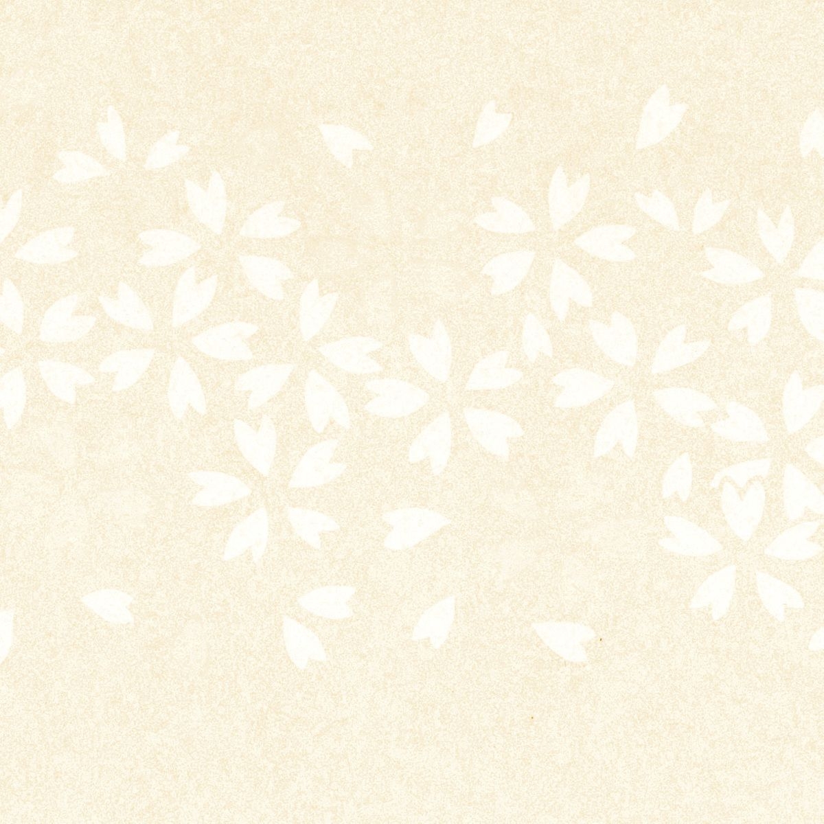 kioi/櫻縞 さくらじま | TECTURE（テクチャー）