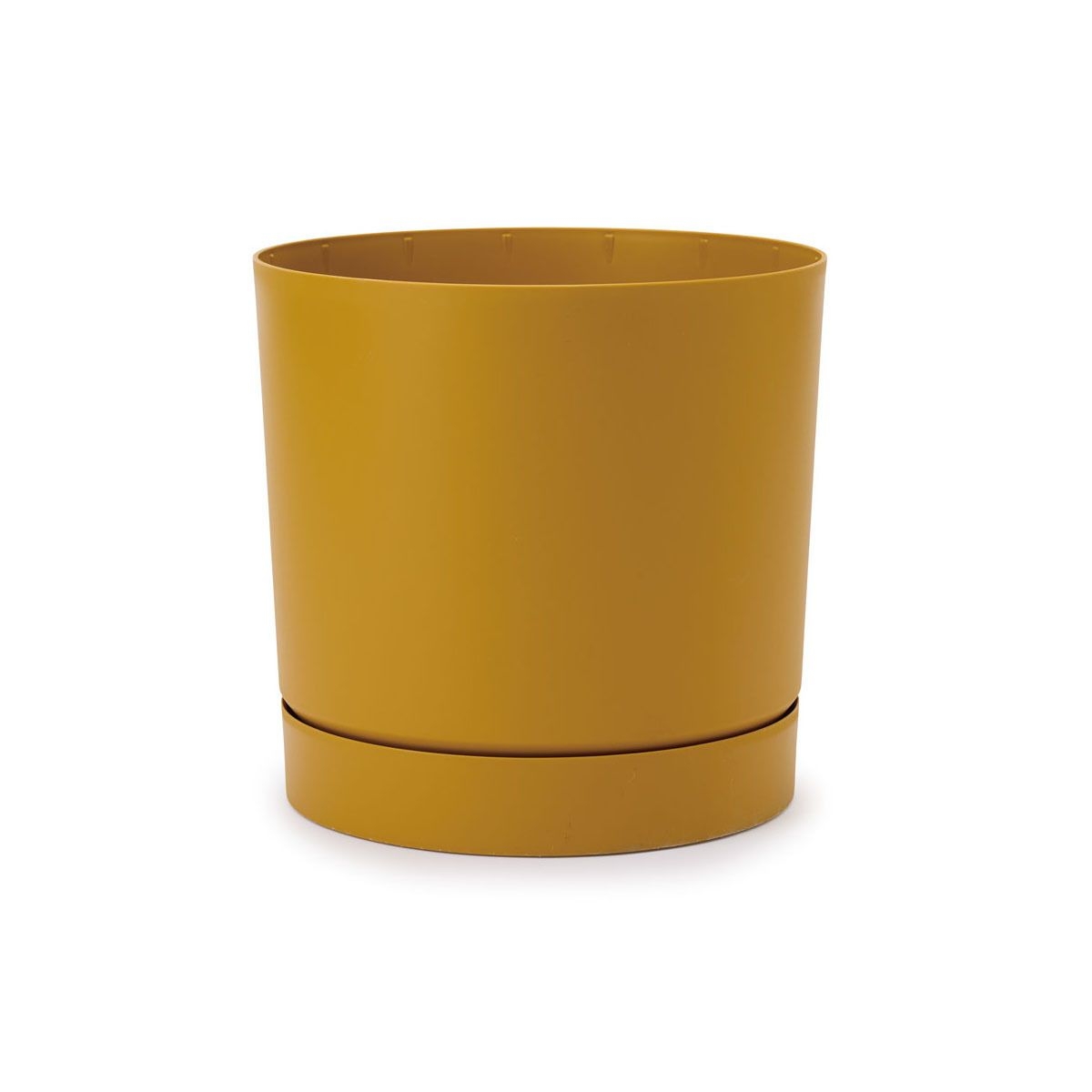 プロスパー/トゥーボ - M 30 マスタード | TECTURE（テクチャー）