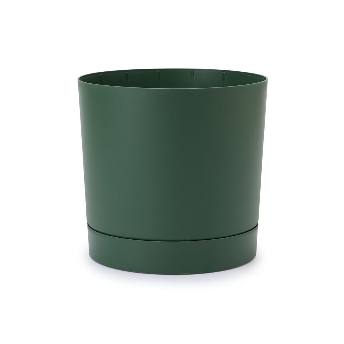 プロスパー/トゥーボ - M 30 パイングリーン | TECTURE（テクチャー）