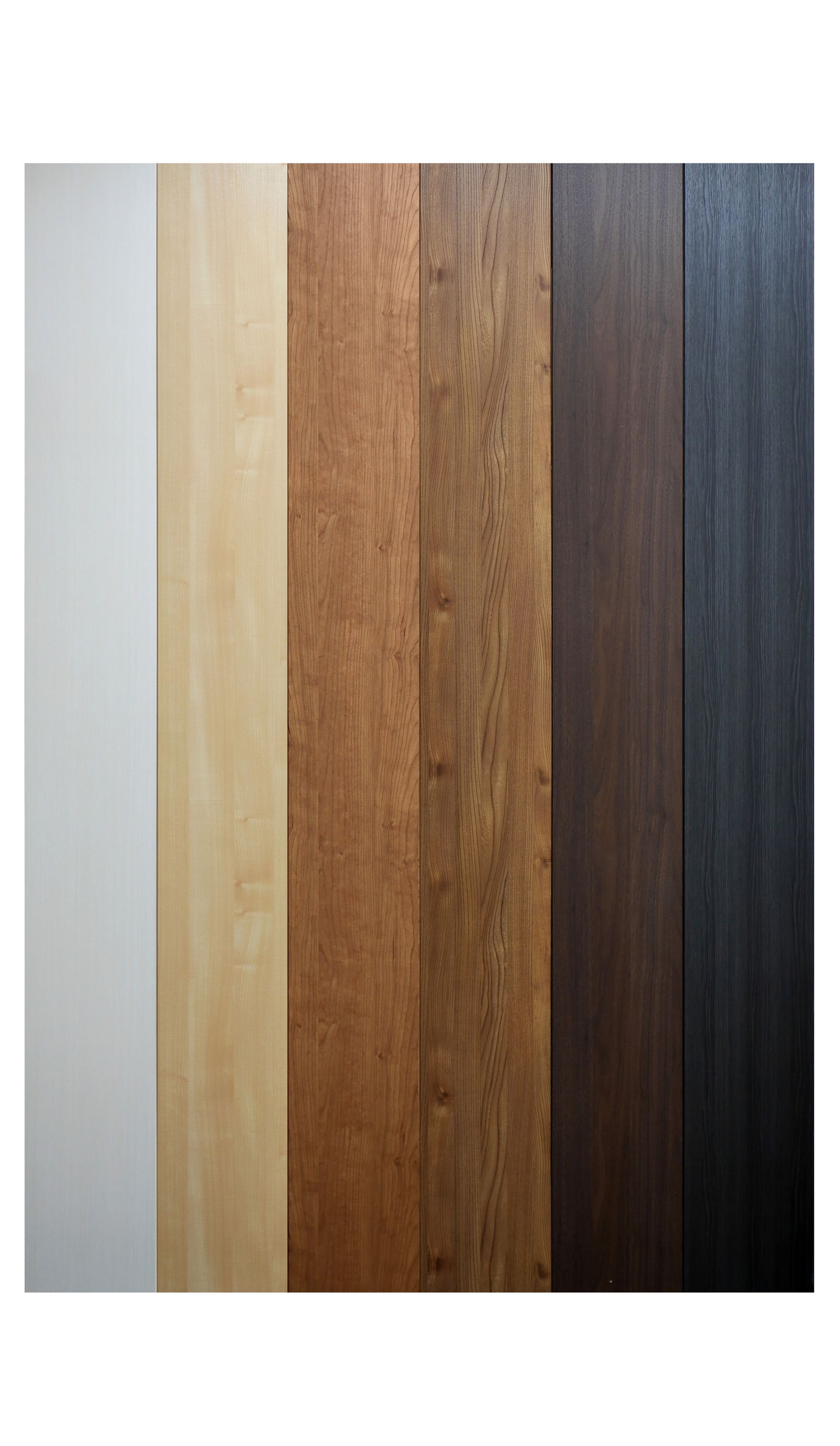 写真 | TECTURE（テクチャー）