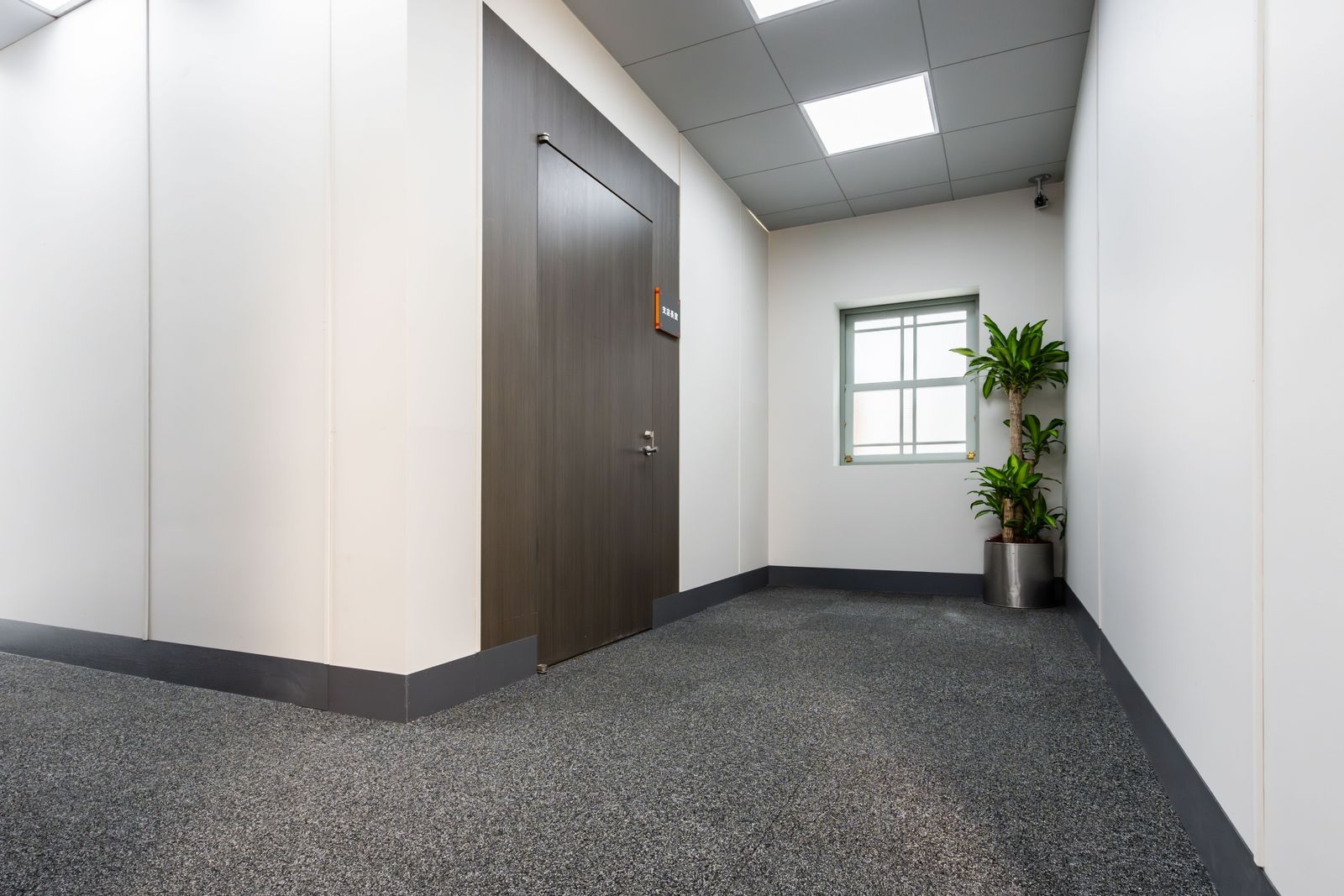 写真 | TECTURE（テクチャー）