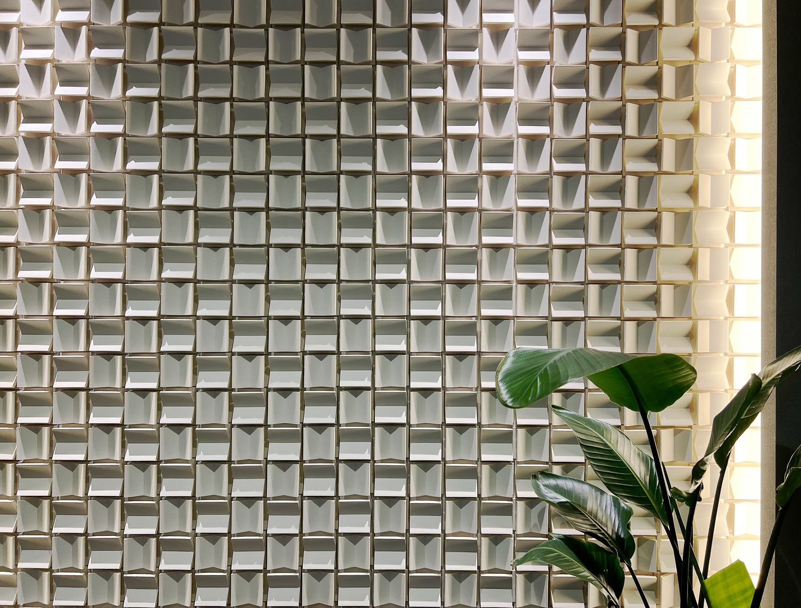 写真 | TECTURE（テクチャー）