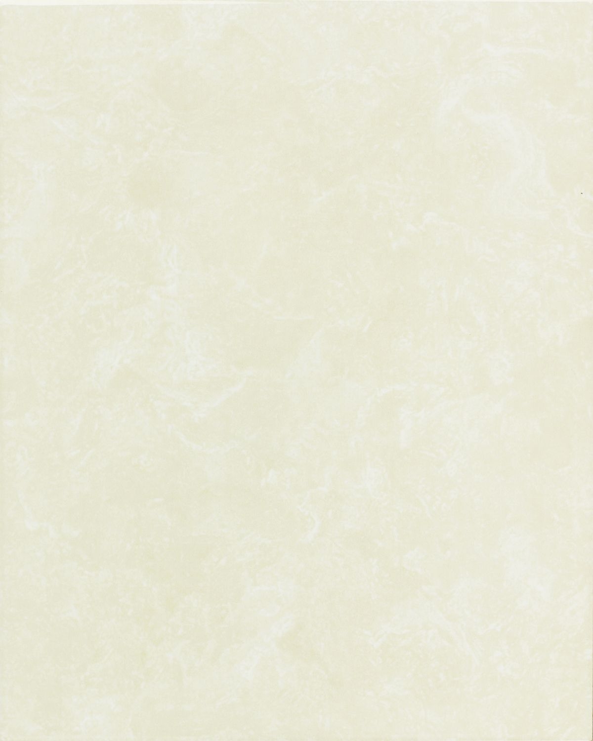 オアーゼ - 250×200平 | TECTURE（テクチャー）