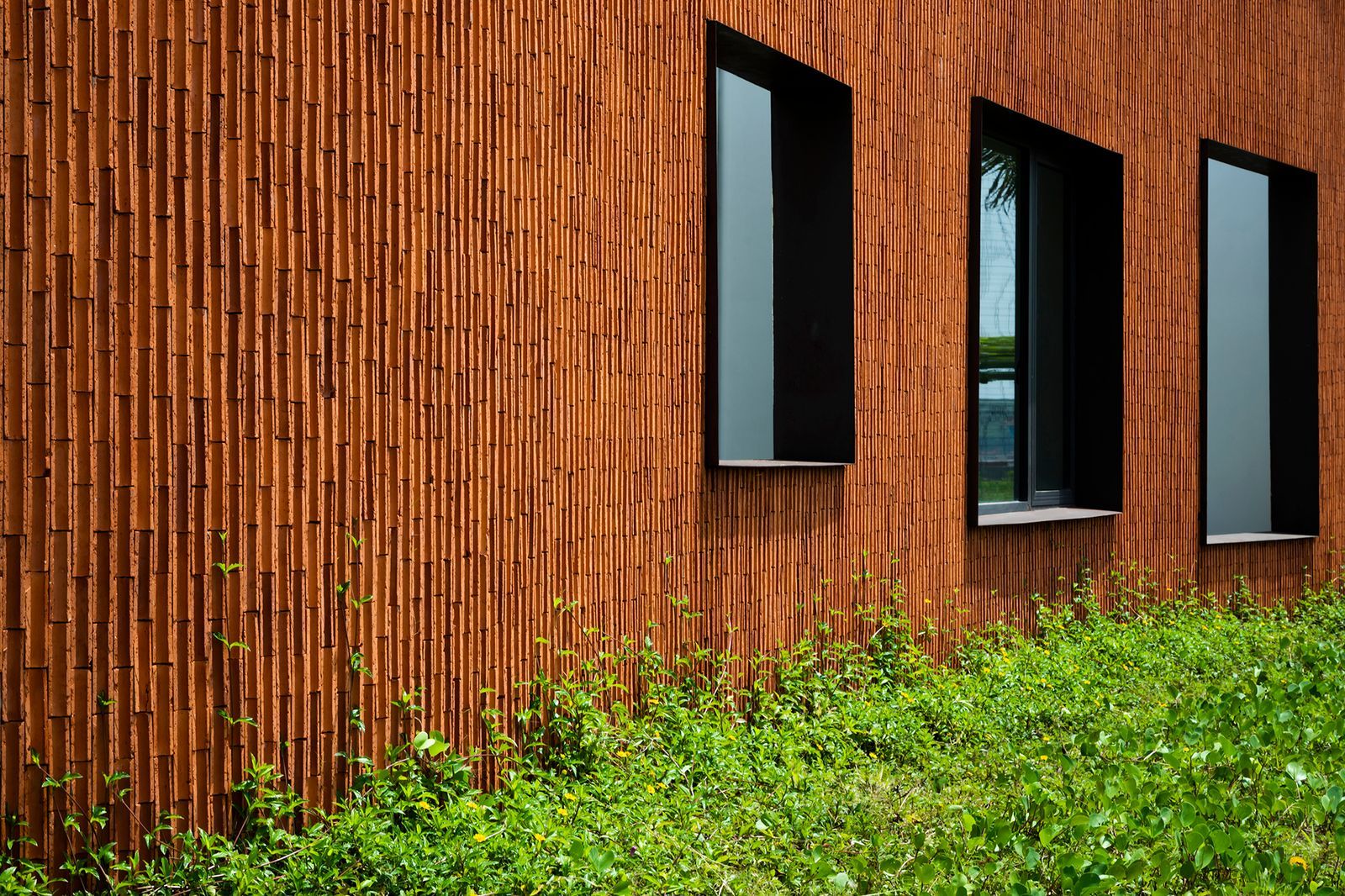 The Gamelleの写真 | TECTURE（テクチャー）