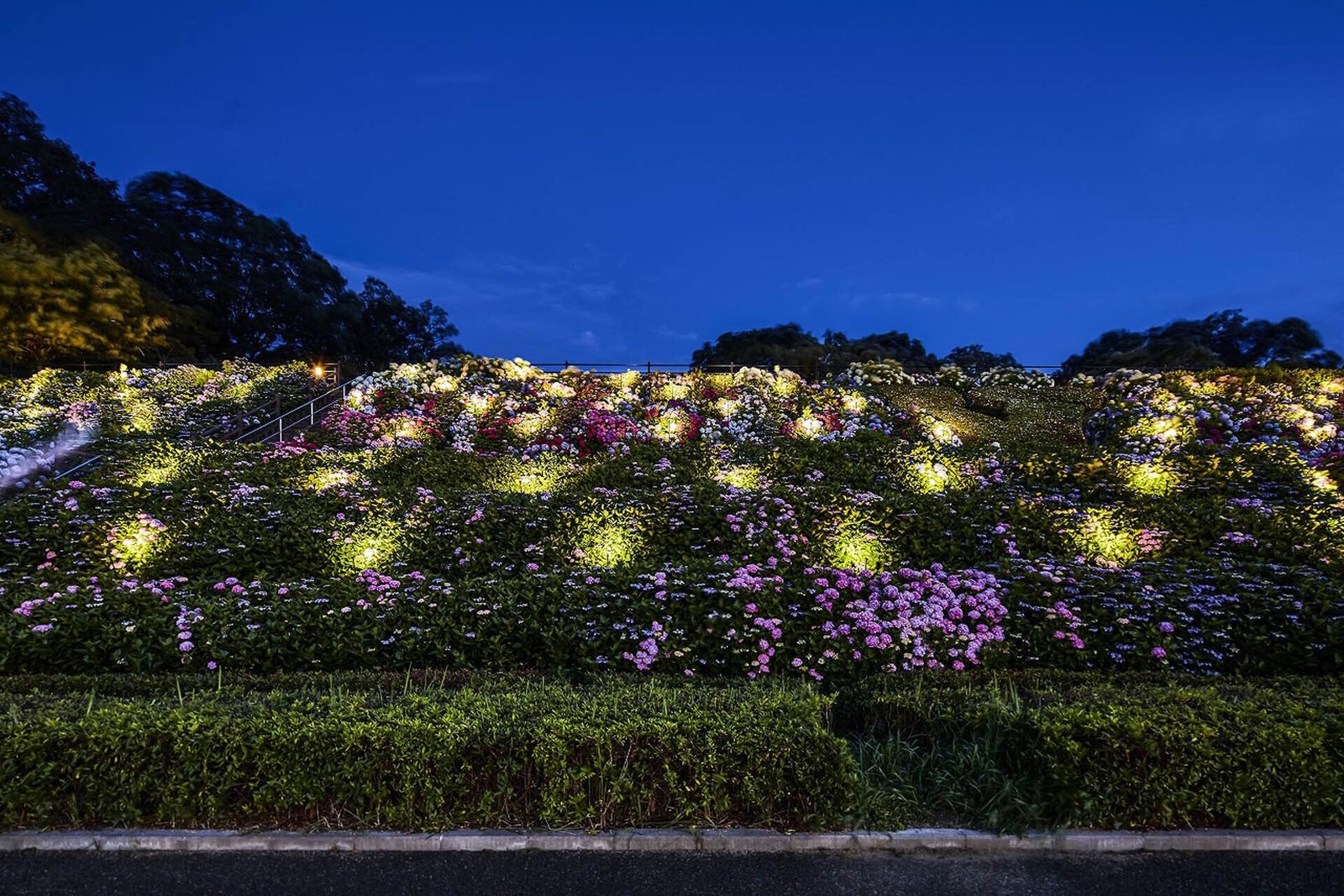 写真 | TECTURE（テクチャー）