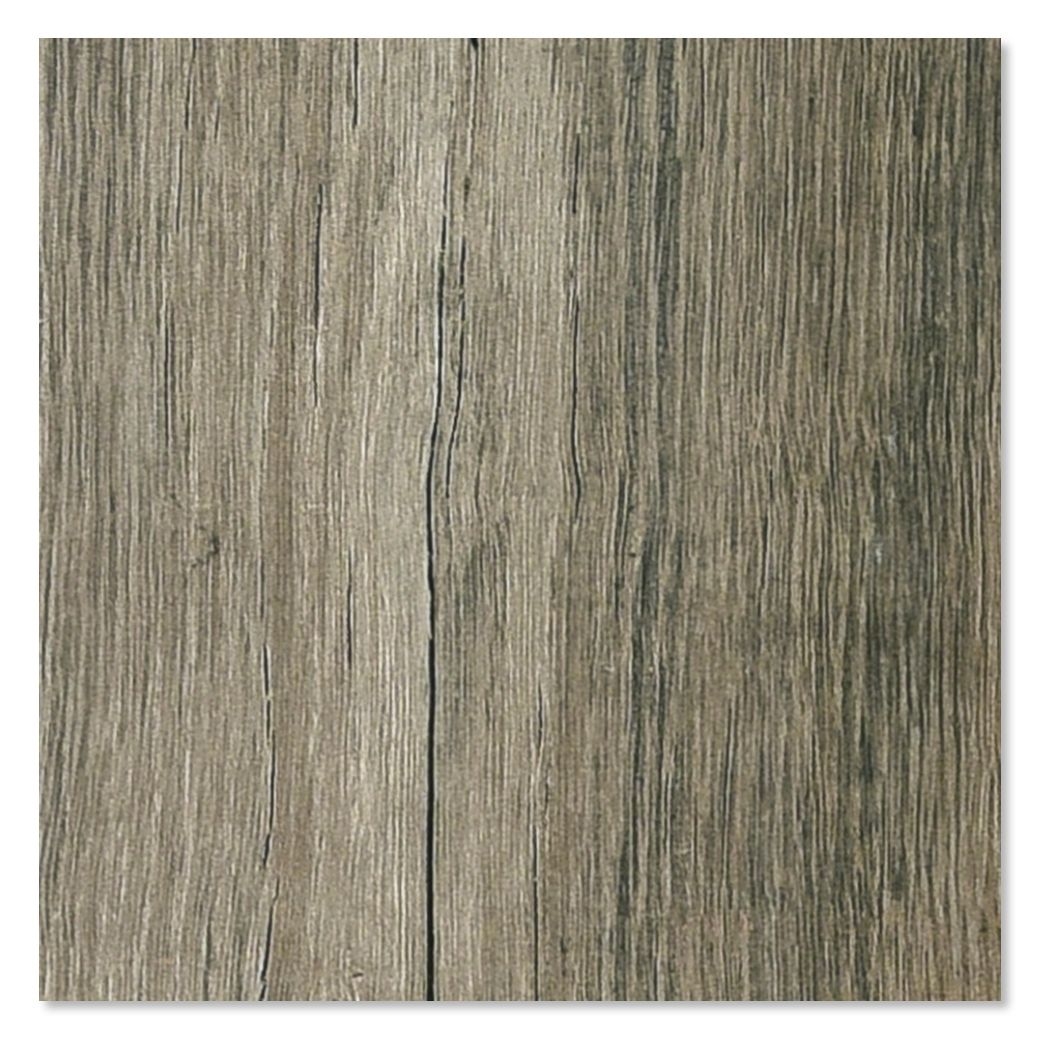 ジャングル - グレイ 204-1203 | TECTURE（テクチャー）