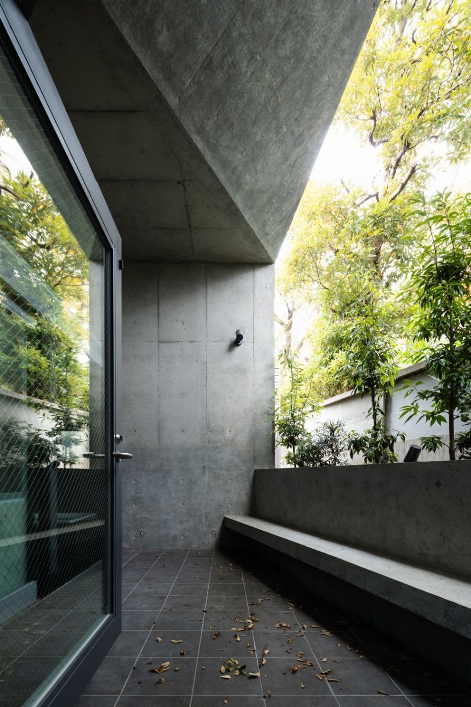 Y TERRACE の写真 | TECTURE（テクチャー）