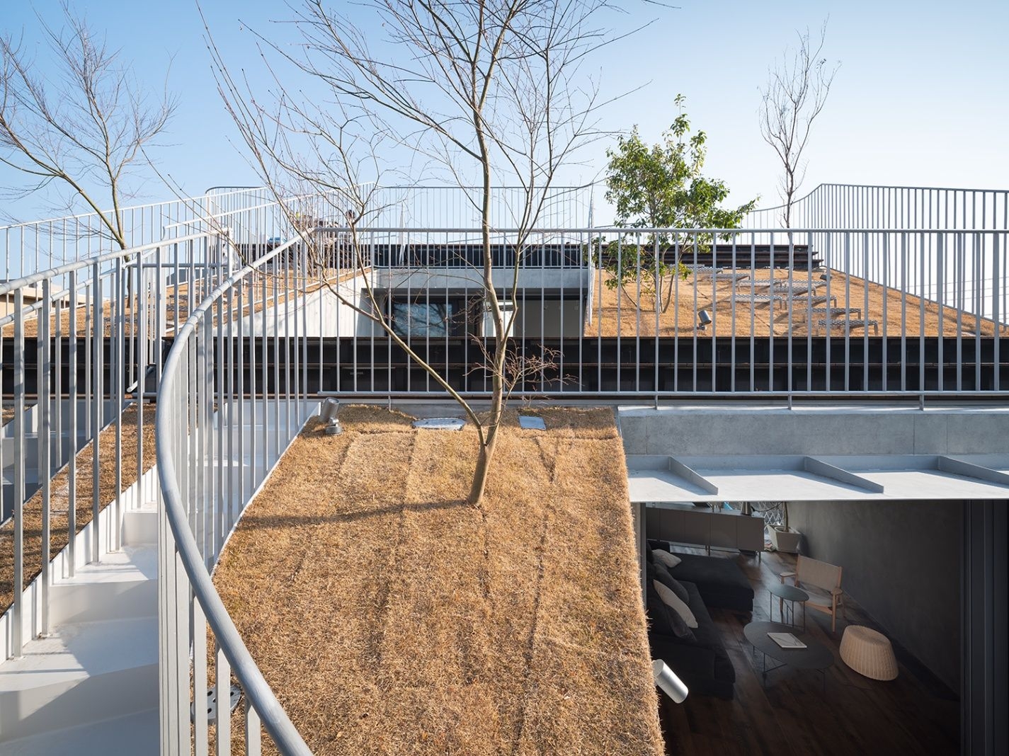 Y TERRACE の写真 | TECTURE（テクチャー）