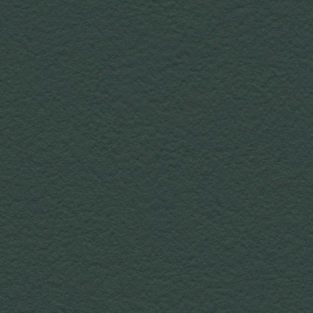 壁紙_Daily palette/もみの木 | TECTURE（テクチャー）