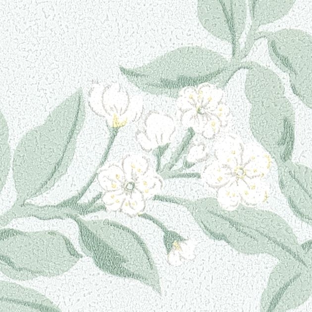 壁紙_EDA/JASMINUM | TECTURE（テクチャー）