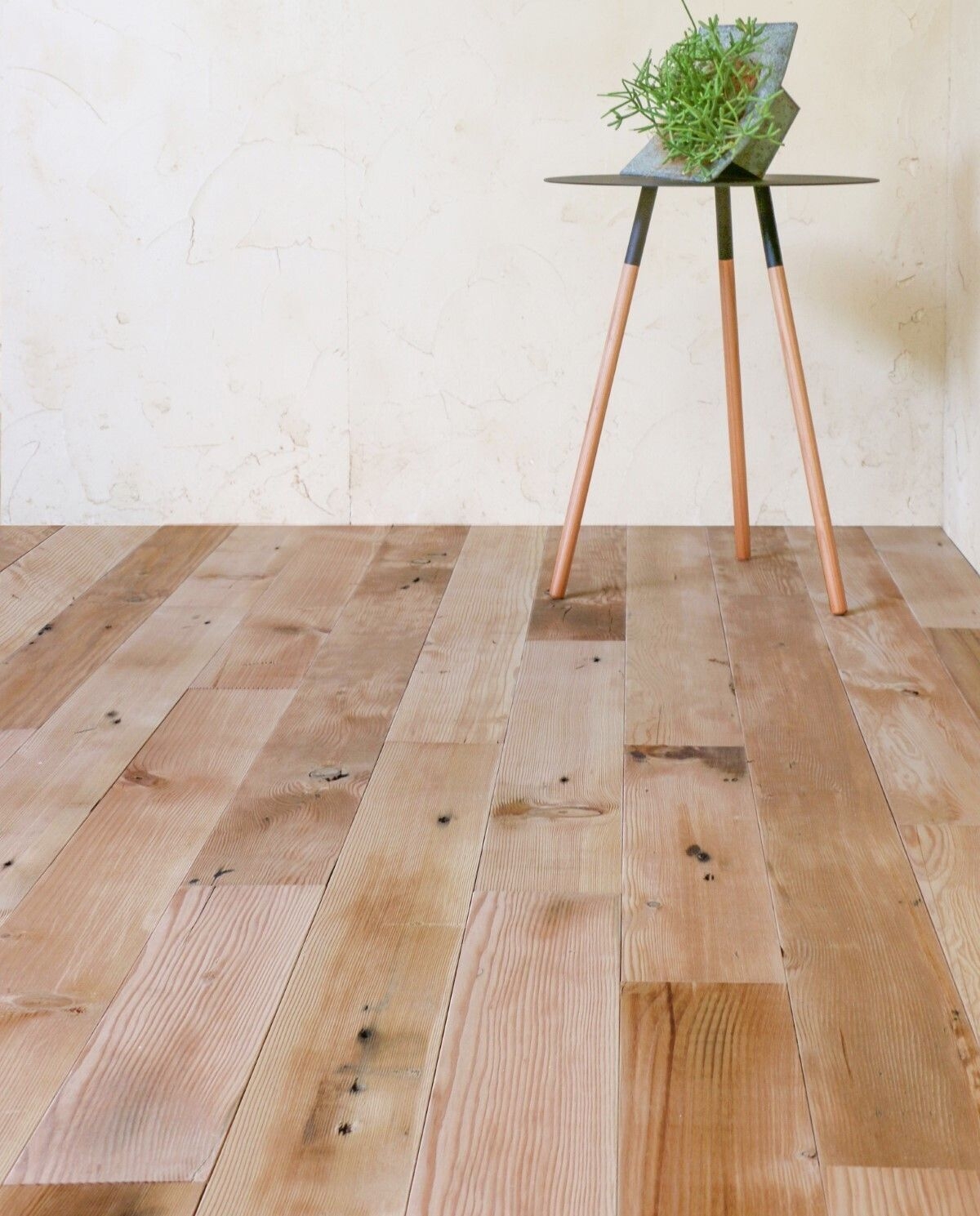 写真 | TECTURE（テクチャー）