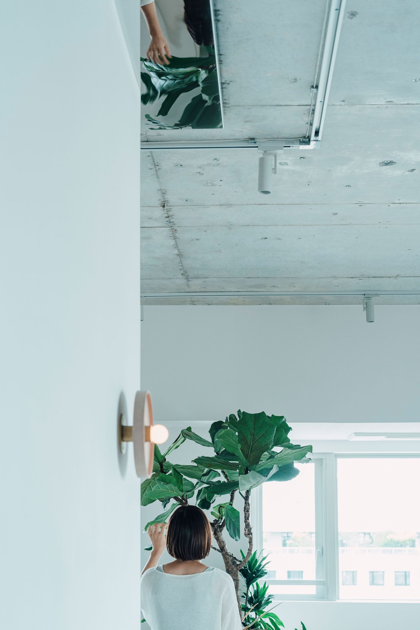 T HOUSEの写真 | TECTURE（テクチャー）