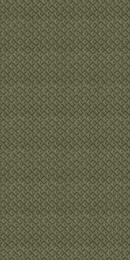 ネーション/CONGO - GREEN | TECTURE（テクチャー）