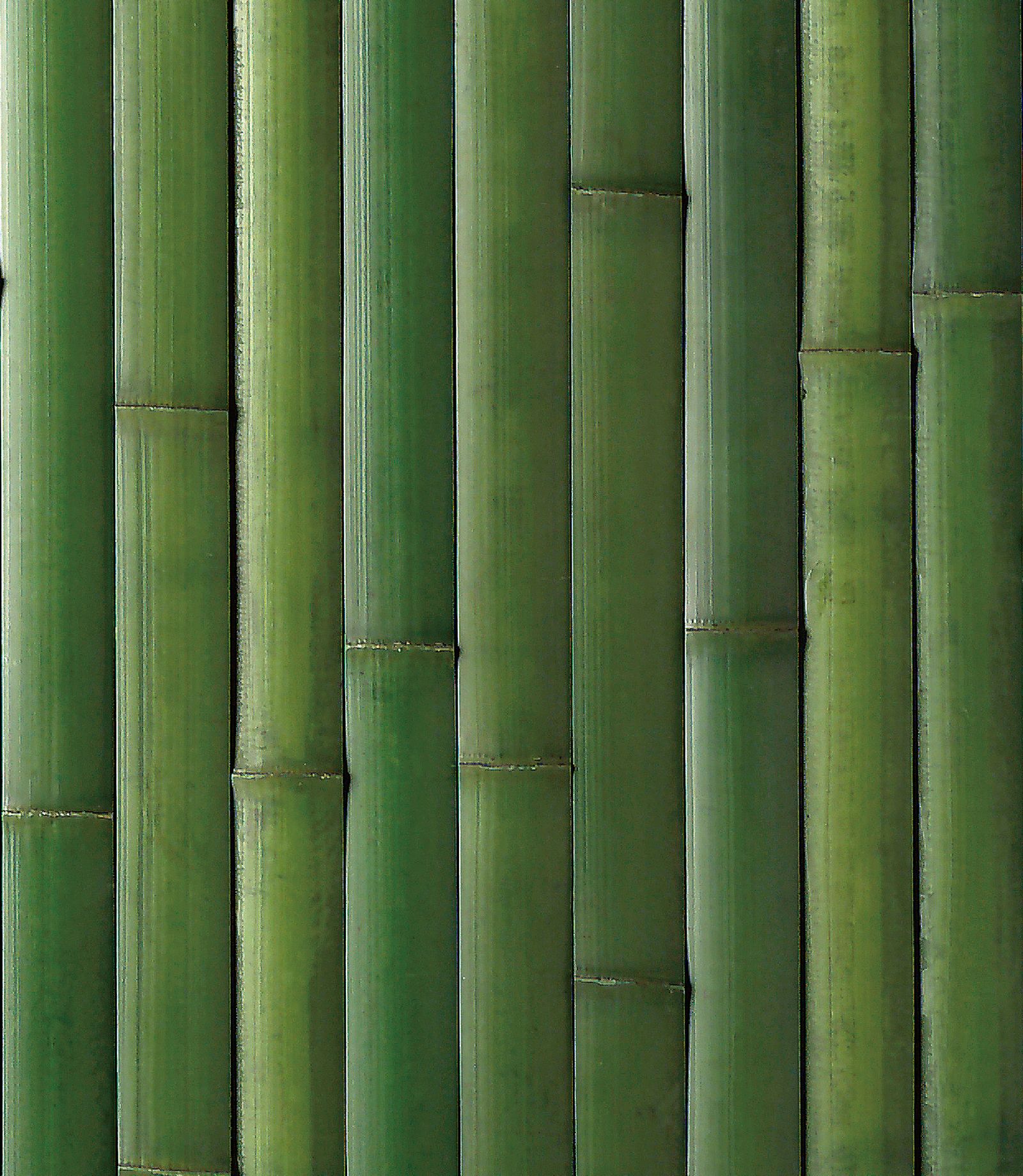 No.24 染青竹平割貼 - No.24-B 染青竹平割タテ貼 | TECTURE（テクチャー）