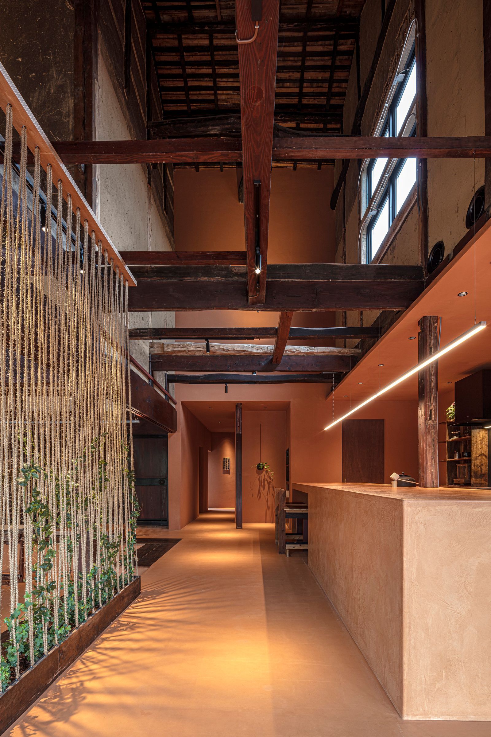 mokkadoの写真 | TECTURE（テクチャー）