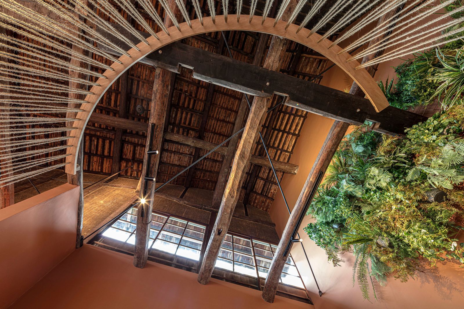 mokkadoの写真 | TECTURE（テクチャー）