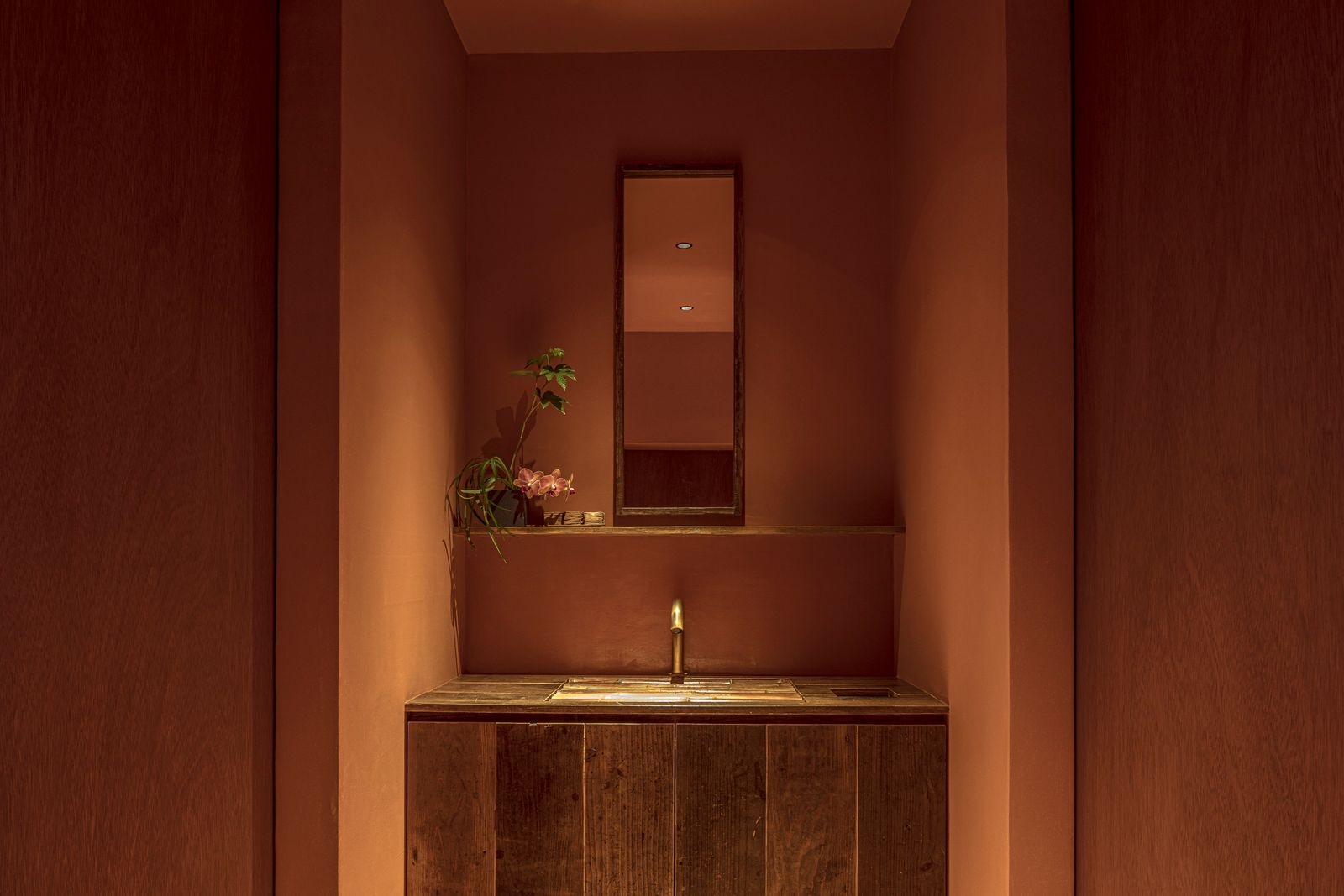 mokkadoの写真 | TECTURE（テクチャー）