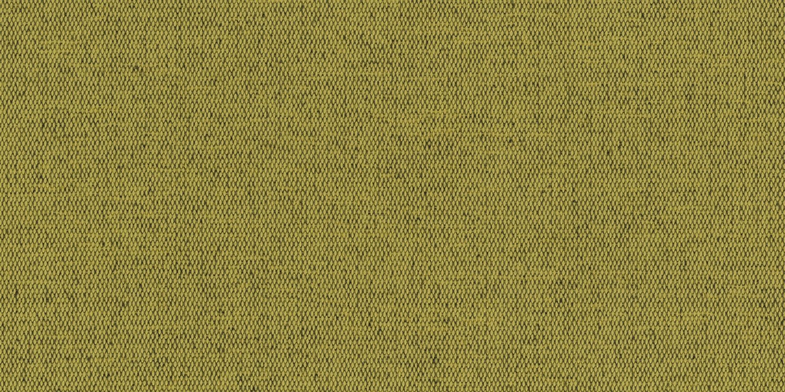 Lord Ⅳ/ロード Ⅳ - 3311 | TECTURE（テクチャー）