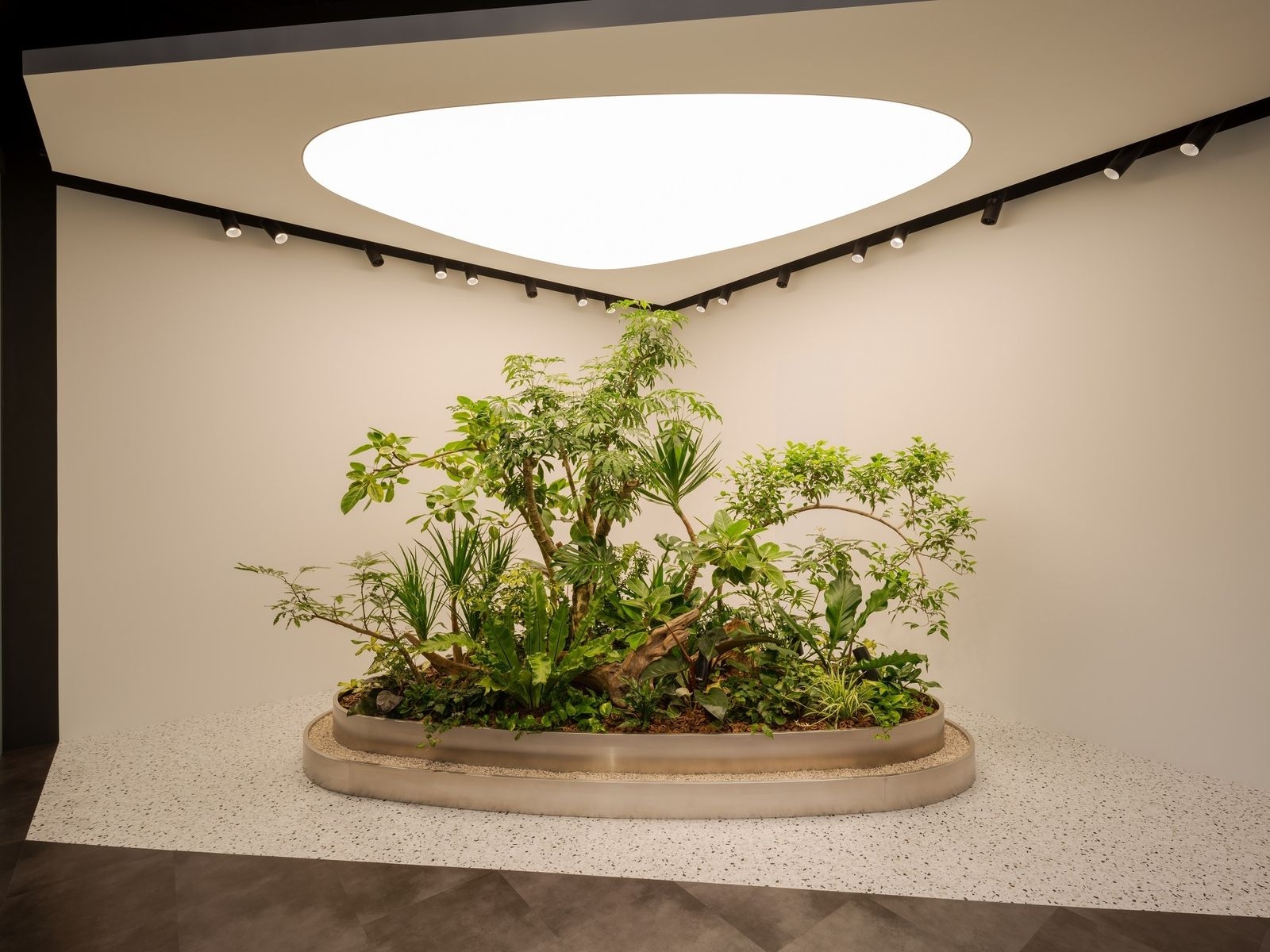 写真 | TECTURE（テクチャー）