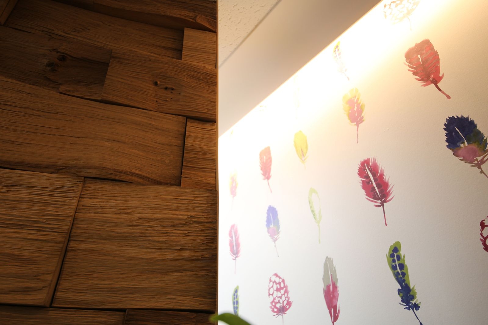 Relief co.の写真 | TECTURE（テクチャー）