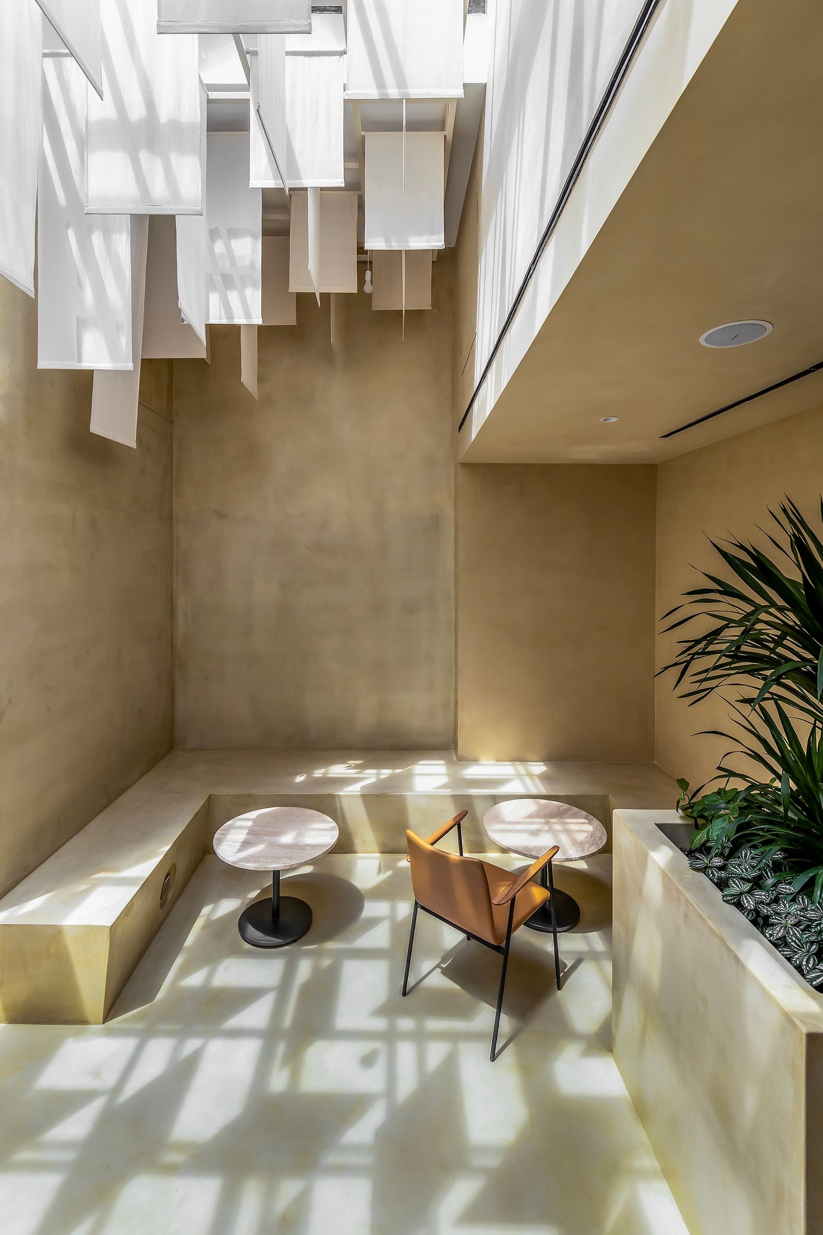 MORICOの写真 | TECTURE（テクチャー）