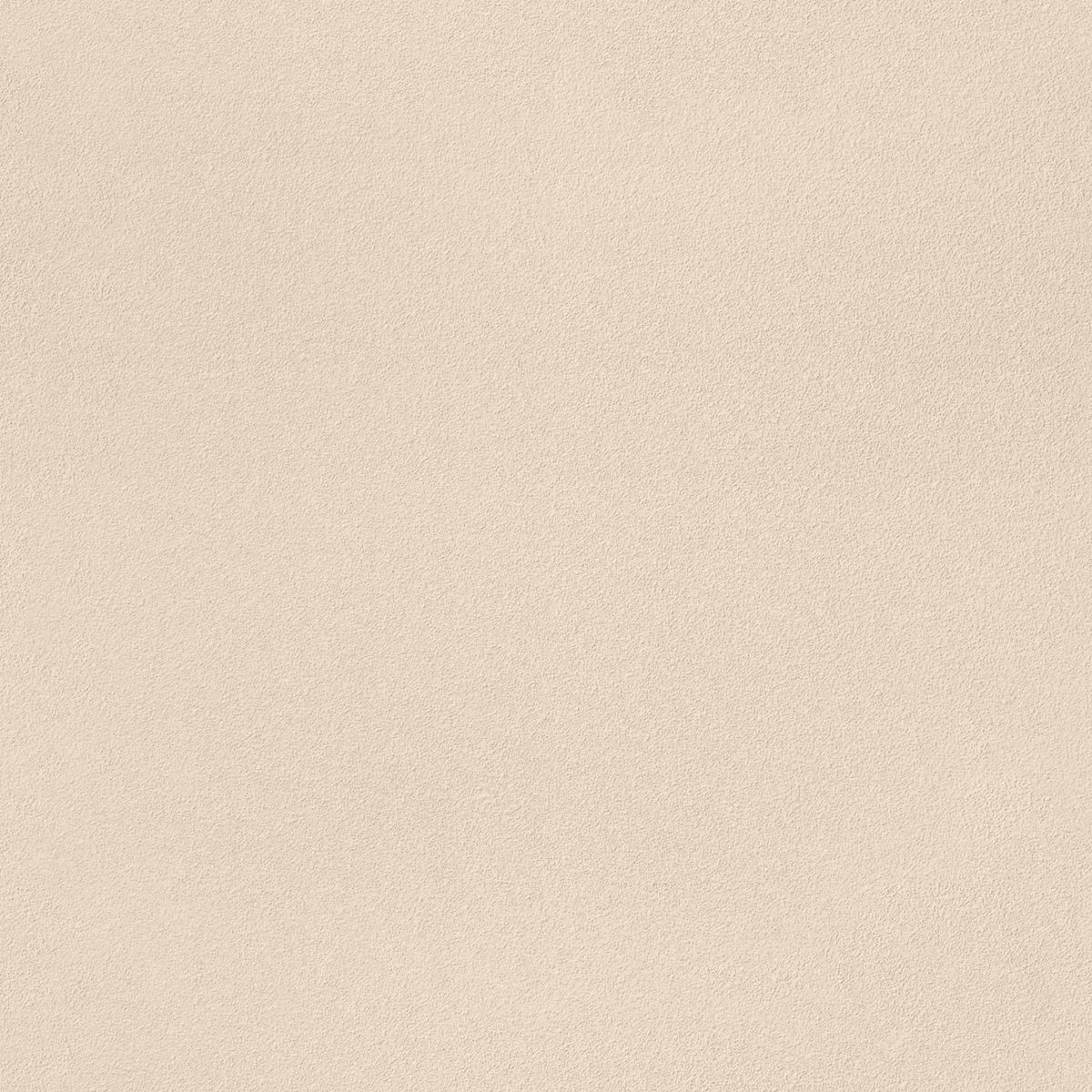 ジョリパット / T2022 | TECTURE（テクチャー）